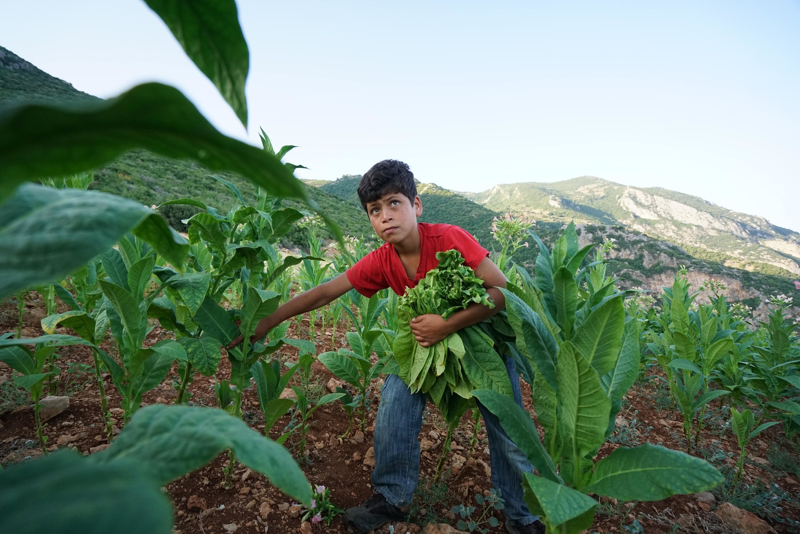 A Few Ordinary Days - Foça Film Days