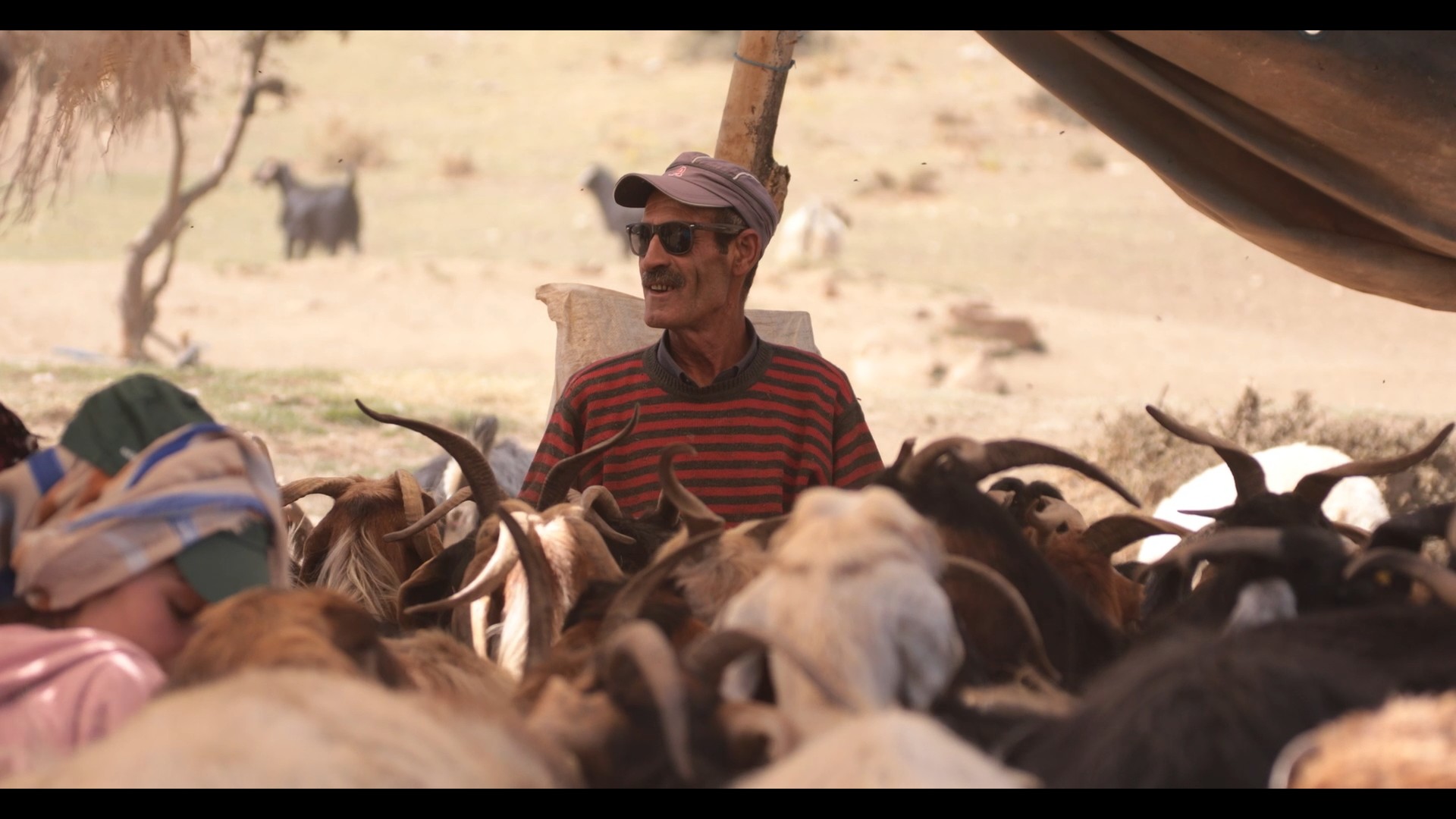 Nomad - Foça Film Days